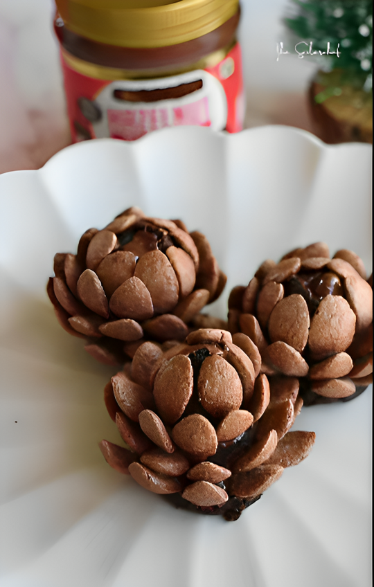 Edible Pine Cone – Jindal Cocoa